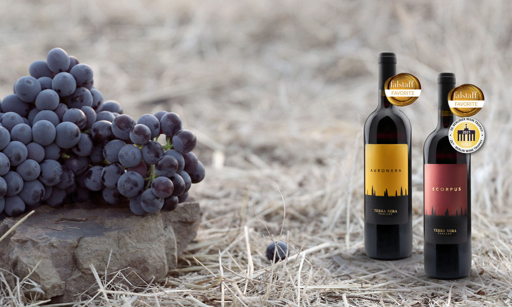 TERRA NERA Tuscany - TERRA NERA Tuscany